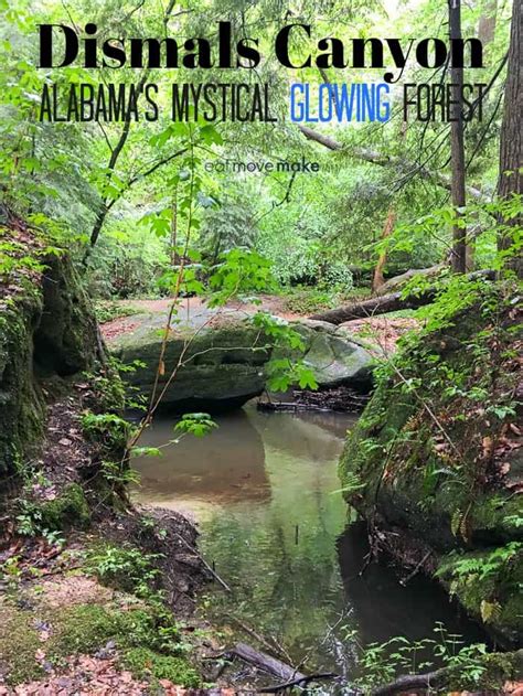 Dismals Canyon Alabamas Mystical Glowing Forest
