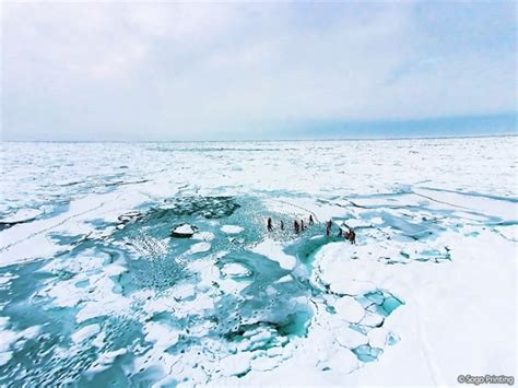 Drift Ice Walk A Totally Cool And Unique Experience