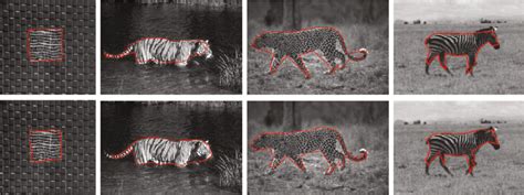 Segmentation Results Using Other Approaches The First Row Results Of