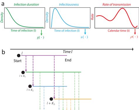 Schematic Of A Time Varying General Branching Process A Shows