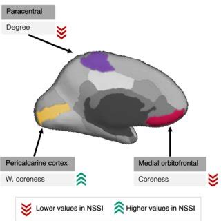Regional Group Differences In Network Measures Between Adolescents