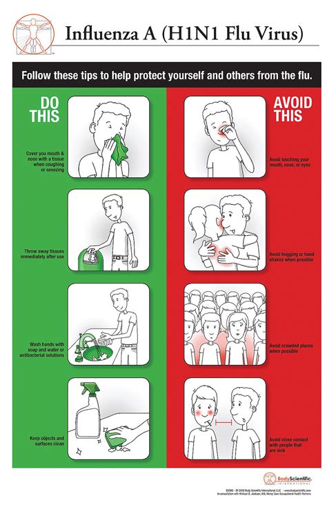Understanding Flu Prevention Anatomical Wall Chart BSI Catalog
