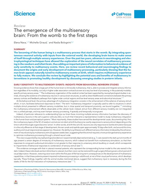 Pdf The Emergence Of The Multisensory Brain From The Womb To The First Steps
