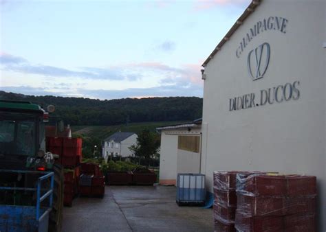 Champagne Didier Ducos Tourisme Dans La Marne En Champagne