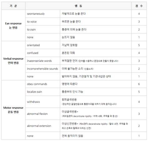 뇌진탕 진단 기준 네이버 블로그