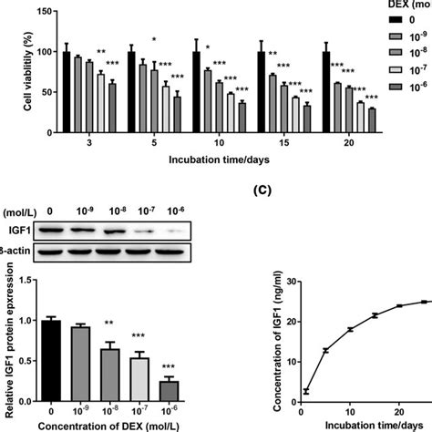 Dex Inhibits The Proliferation Of Bmscs A Cell Viability Of Bmscs Download Scientific