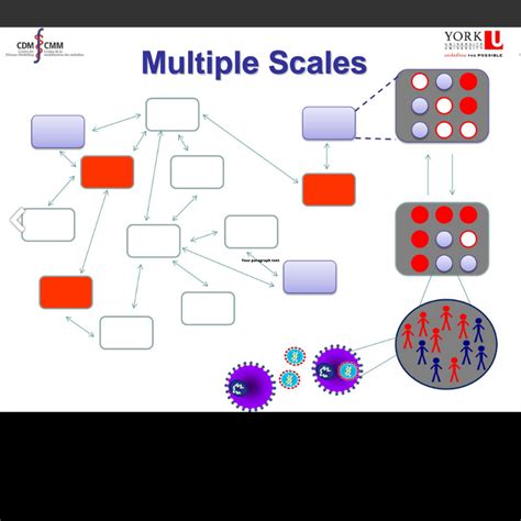 Tatiana Krikella Will Help To Develop “multi Scale Estimation Methods