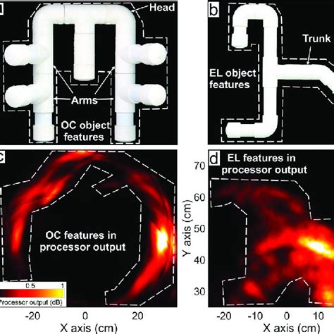 Bartlett Processor Visualisations With Dolphin Echolocation Data A B