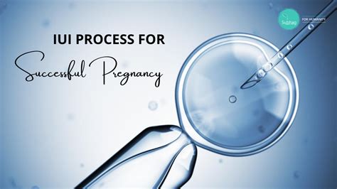 Important Fertility Tests Of Iui Process For Successful Pregnancy