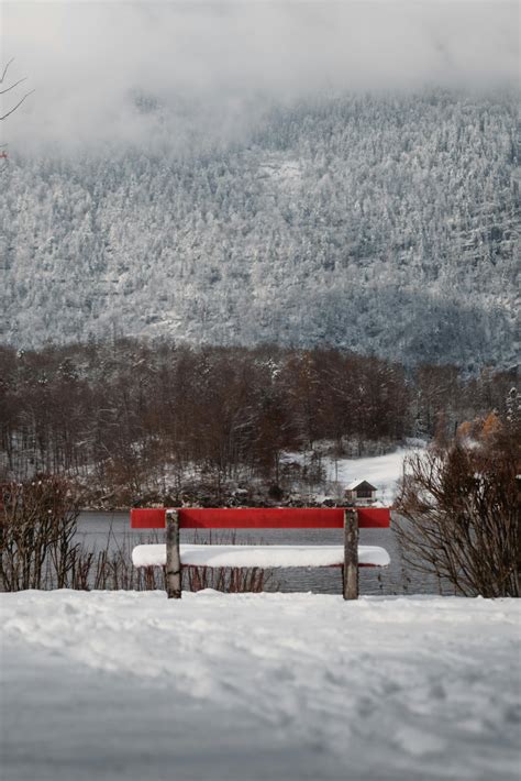 Nancymacebikinipictures Photos Download The Best Free Nancymacebikinipictures Stock