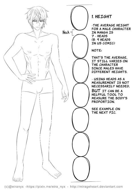 Male Anatomy Anime Male Anatomy Template Front By Shintenzu On