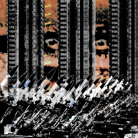 Eyes Of Cockroach Roach Cockroach Insect