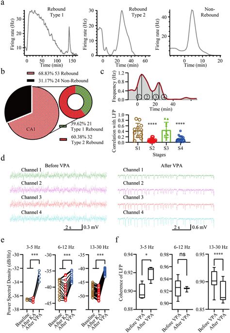 The Neuronal Activity Exhibited Rebound Excitation After Vpa