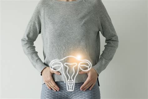 Miomas Uterinos E Infertilidad