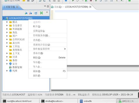 达梦数据库管理工具介绍达梦管理工具怎么打开 Csdn博客