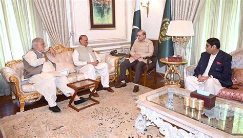 Leader Of The Opposition In National Assembly Raja Riaz Ahmad And Mna