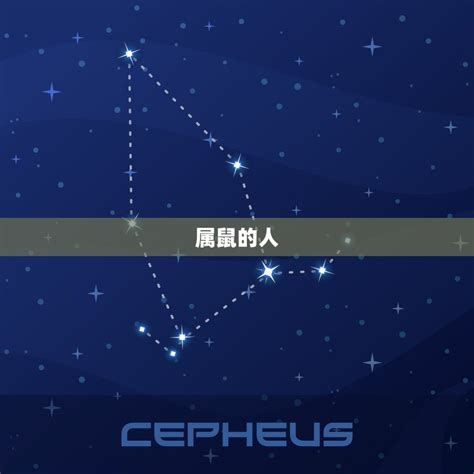 2023生辰综合详批 解读2023年生肖属相及运势