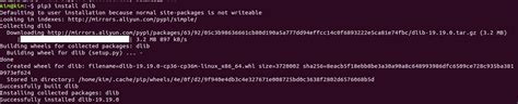 ubuntu18 04安装dlib 19 19 0成功（亲测成功） 灰信网（软件开发博客聚合）