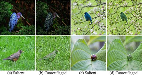 Figure 12 From High Resolution Iterative Feedback Network For Camouflaged Object Detection