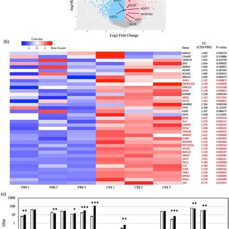 Gene Expression Profile From Rna Seq Data A Volcano Plot Of Genes