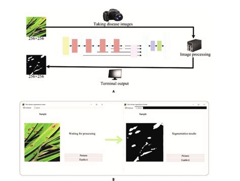 New Transformer Based Ai Model Enhances Precision In Rice Leaf Disease Detection