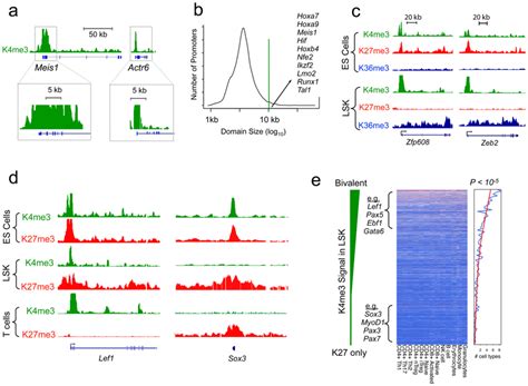 Chromatin Domains At Developmental Regulators In Hematopoietic Download Scientific Diagram