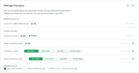 fix issues with connecting a custom domain to elementor hosting elementor