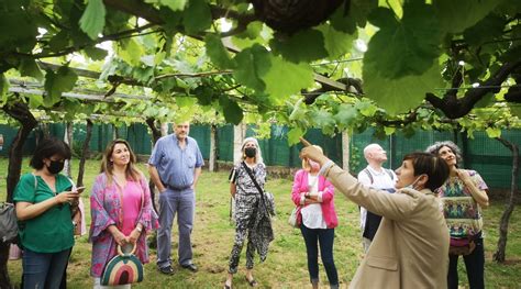 A la venta las entradas de la Ruta do Viño Rías Baixas por la Primavera