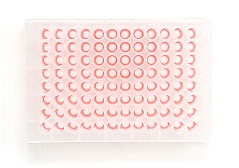 Purospin™ Viral Dna And Rna 96 Well Purification Kit Nk056 480 Luna