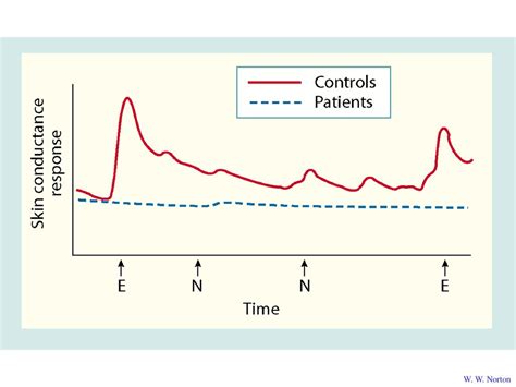 Second Edition Cognitive Neuroscience The Biology Of The Mind Chapter