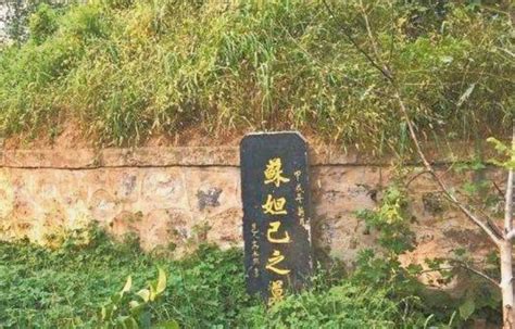 河南挖出苏妲己墓！狐狸精真面目终于揭开，我们竟被史书误导千年 搜狐大视野 搜狐新闻
