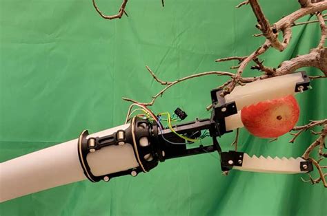 Jobtorob Robonews Apple Picking Robot A New Assistant In Agriculture
