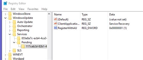 Registry Error Windows Update Error Code 0x80040154 Page 3