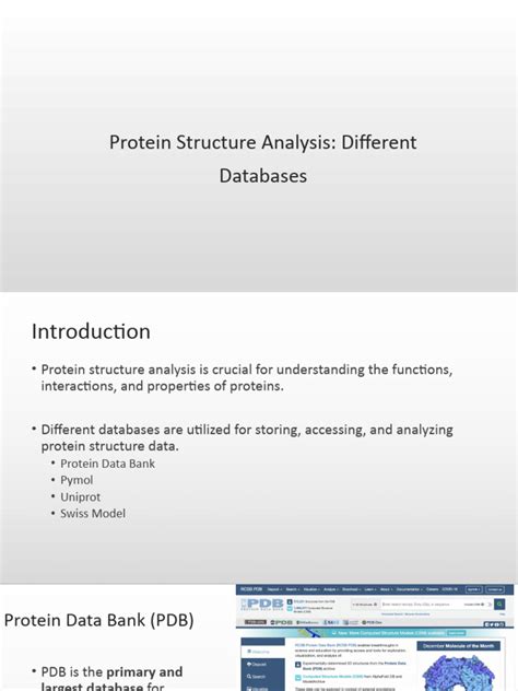 Bim3014 Protein Structure Analysis Pdf Wellness Science And Mathematics