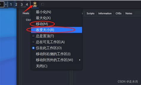Kali字体设置 各种字体图标大小调整总结linux走水肖 Gitcode 开源社区
