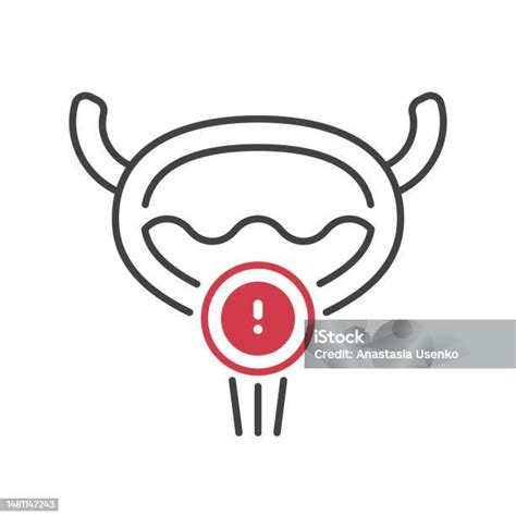 개요 스타일 건강 관리 Ui 아이콘 컬렉션입니다 인간 장기 질환 개념 벡터 선형 그림입니다 방광 비뇨기 계통 해부학 기호입니다 느낌표 의료를 위한 디자인 요소 건강 진단에