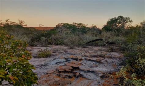 Reserva Natural Serra das Almas inspira a conservação da Caatinga há 22