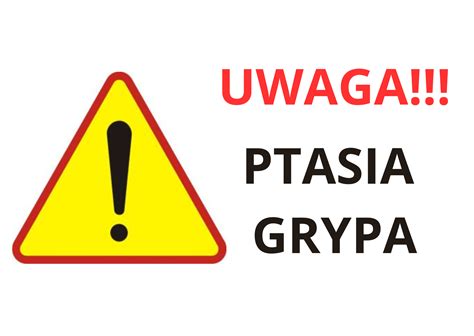 PISMO REGIONALNEGO DYREKTORA OCHRONY ŚRODOWISKA W KRAKOWIE W SPRAWIE PTASIEJ GRYPY Gmina Łużna