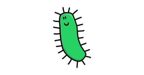 Cute E Coli Bacteria Sticker Bacteria Sticker Teepublic