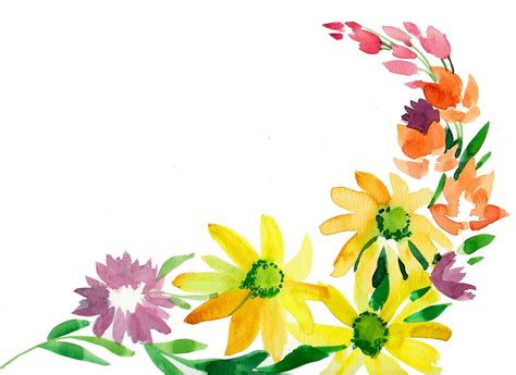 Premium Photo Ink And Watercolor Drawing Of A Summer Flowers