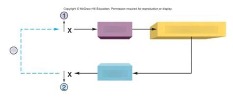 chapter 1 diagram quizlet