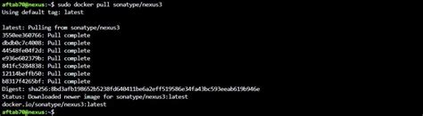 Deploy Sonatype Nexus Repository Oss V3 On Docker Container Devops Tricks