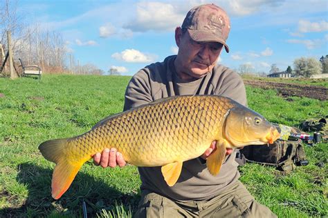 Common Carp 5 0 Kg Specimen Baits