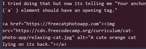 Learn Html By Building A Cat Photo App Step 15 Html Css The