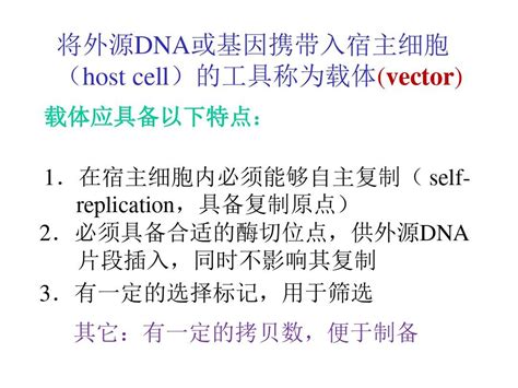 基因工程第三章 分子克隆载体 皮皮虾