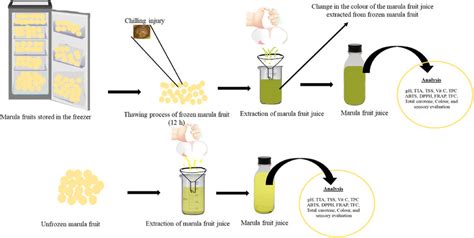 Schematic Diagram Showing The Effects Freezing On Colour Of Properties
