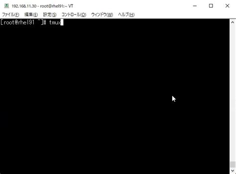 【画像解説】tmuxとは？teratermで使いこなすサーバ運用での使い方とコマンド一覧 ほそぼそ話