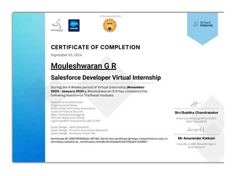 Completed Salesforce Developer Internship Mouleshwaran G R Posted On The Topic Linkedin