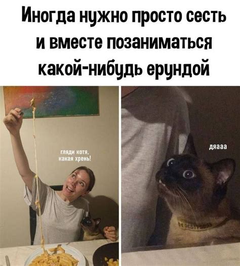 ﻿Иногда нужно просто сесть и вместе позаниматься какой нибудь ерундой