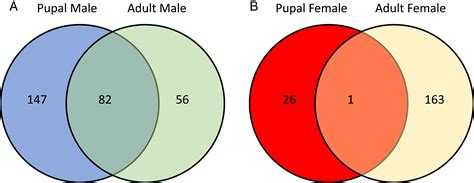 Transcriptome Profiling Reveals Sex‐specific Gene Expressions In Pupal